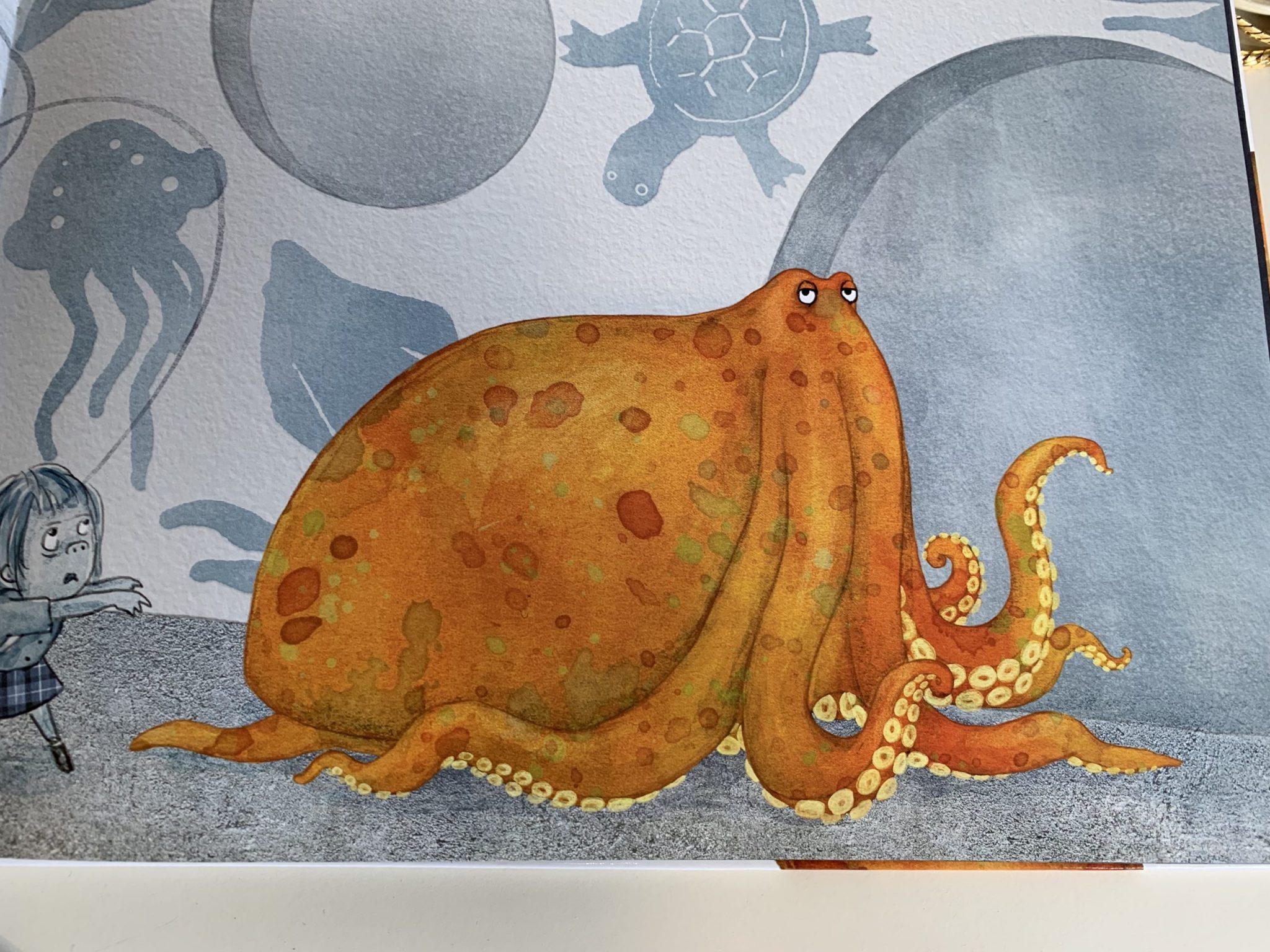 Nicki Greenberg: gave up corporate law to become a Children's author ...